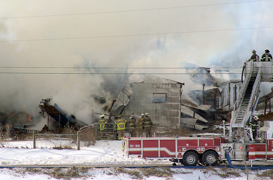 Fire destroys barns, kills 90 cattle | News, Sports, Jobs - Altoona Mirror